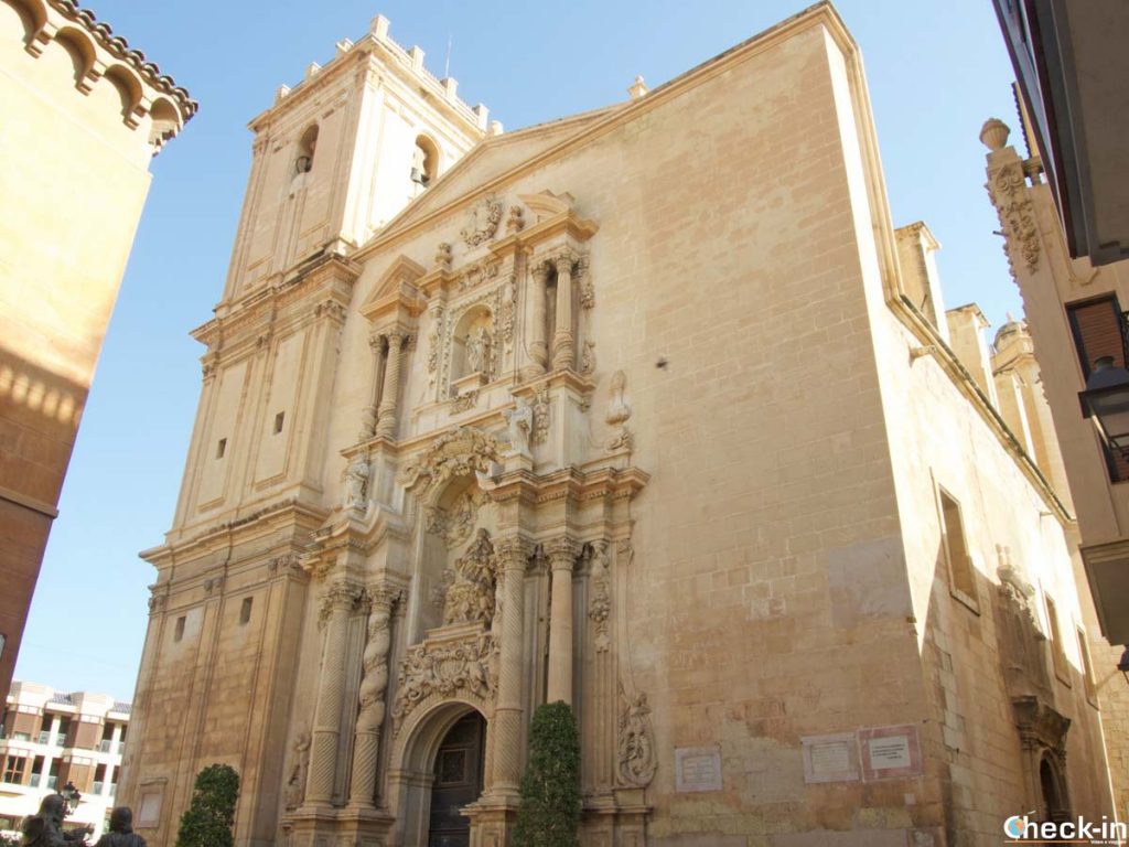 Elche (Spagna), tour da Alicante per vedere il palmeto più grande d'Europa