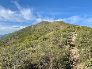 Liguria di ponente, escursione tra Borghetto Santo Spirito e Ceriale