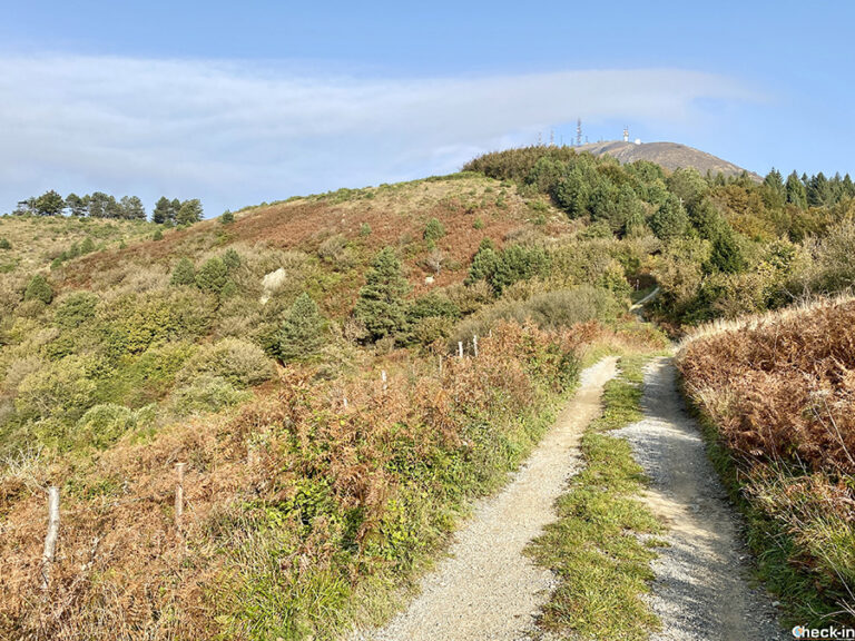 Monti Taccone e Figne, trekking al confine tra Piemonte e Liguria