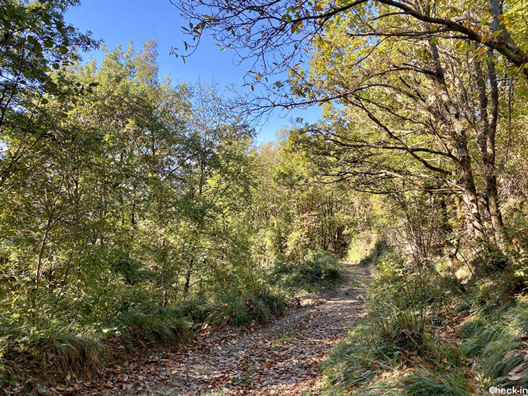 Monte Reale (entroterra ligure), trekking ad anello da Ronco Scrivia