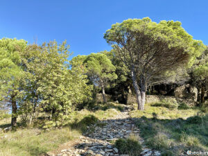 Monte di Santa Croce (Liguria), trekking ad anello da Bogliasco