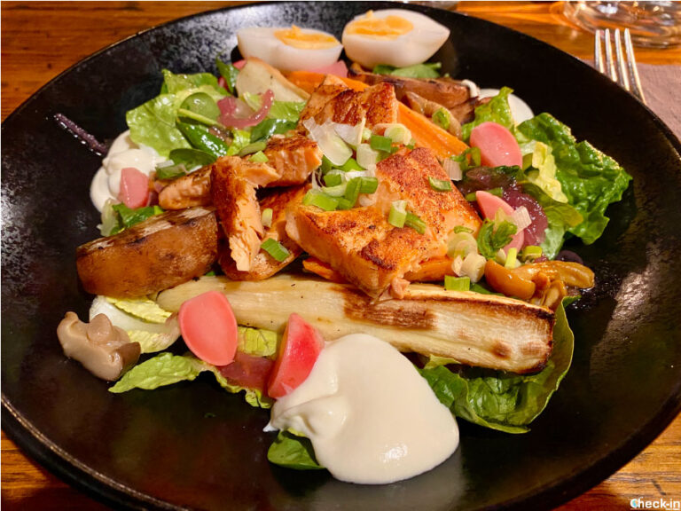 Levi (Finlandia), guida utile per organizzare un viaggio in Lapponia